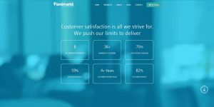 ColdFusion Development Company Since 1999 | IT Landmark